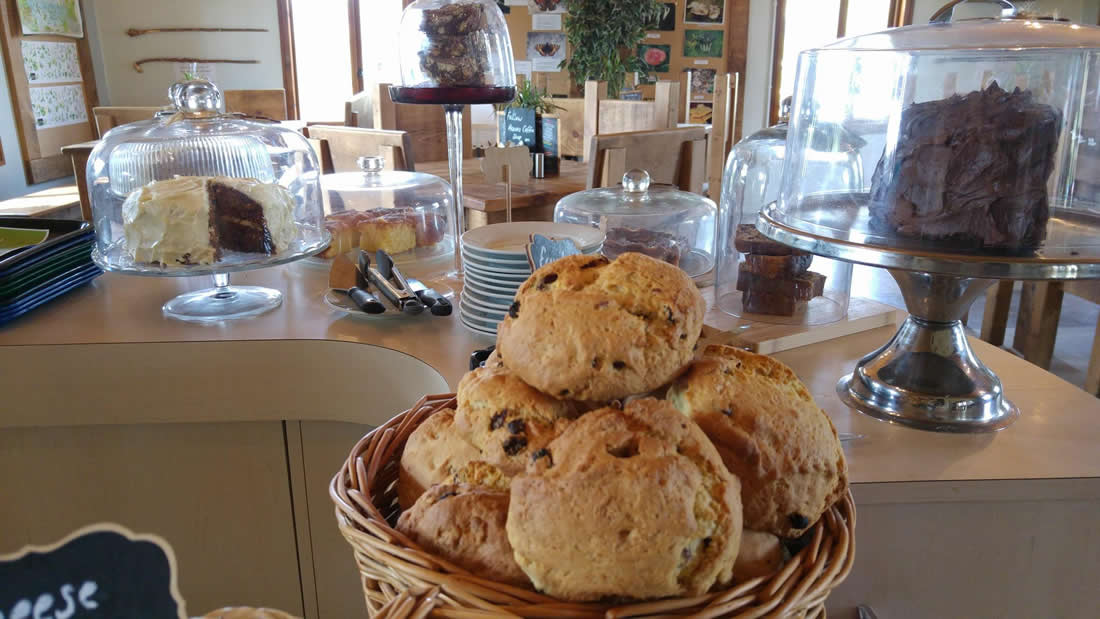 Acorns Coffee Shop – @Burbage Common